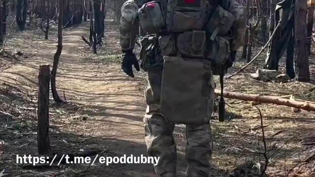 克里米纳前线的俄军侦察兵使用2B25“海鸥”静音迫击炮攻击乌军战……|俄军|侦察兵|迫击炮_新浪新闻