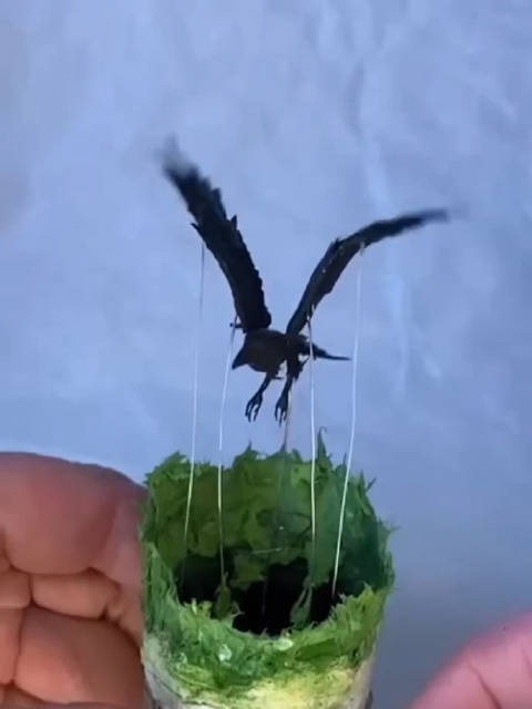 Penny Thomson是一位来自英格兰的微型可动雕塑艺术家……|艺术家|雕塑|英格兰_新浪新闻