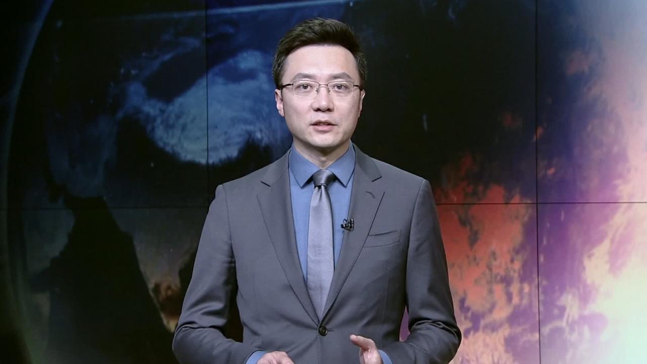 “丰县生育八孩女子”一审宣判 董志民获刑九年_手机新浪网