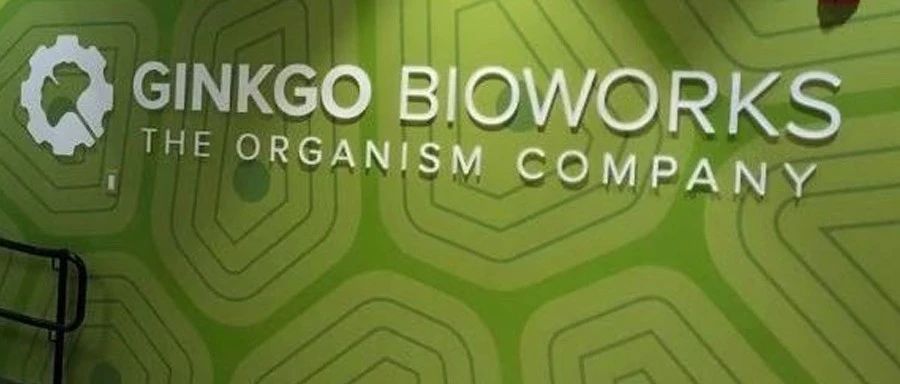 合成生物平台Ginkgo Bioworks收购AAV载体开发公司、开发新型体内mRNA平台|生物|生物技术_新浪新闻