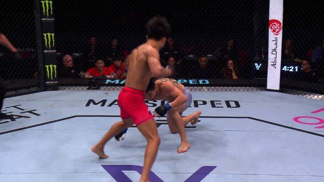 UFC精英之路｜第一季|UFC|锦标赛_新浪新闻