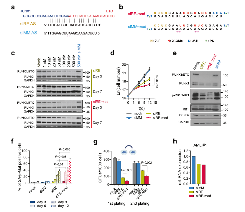 Leukemia | 纳米颗粒递送siRNA靶向融合基因治疗儿童急髓白血病