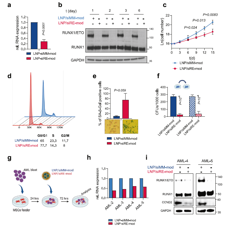Leukemia | 纳米颗粒递送siRNA靶向融合基因治疗儿童急髓白血病