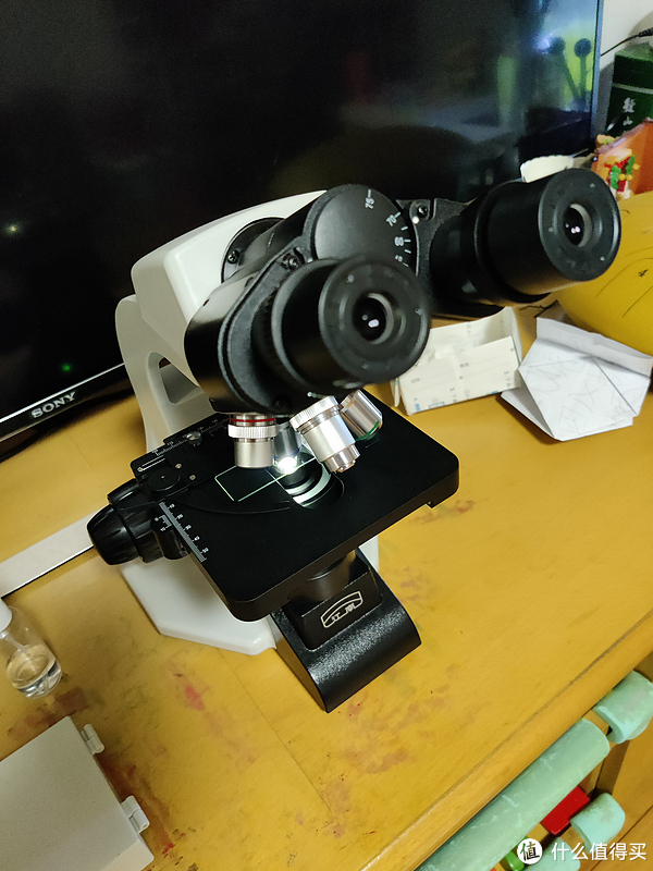 观察另一个世界的精彩|微生物|显微镜|物镜_新浪新闻