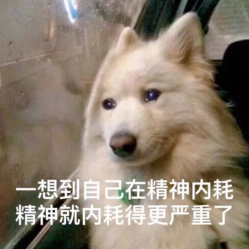 与其精神内耗自己，不如发疯外耗别人
