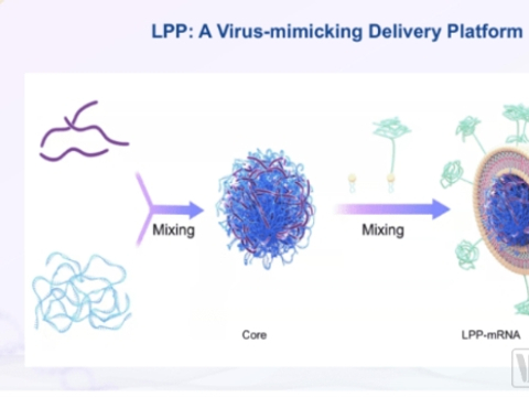 LNP治疗应用相对有限,斯微生物如何“占尽先机”?|微生物|靶向|先机_新浪新闻