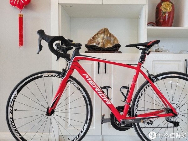 最终还是选择了美利达斯特拉93-新浪汽车