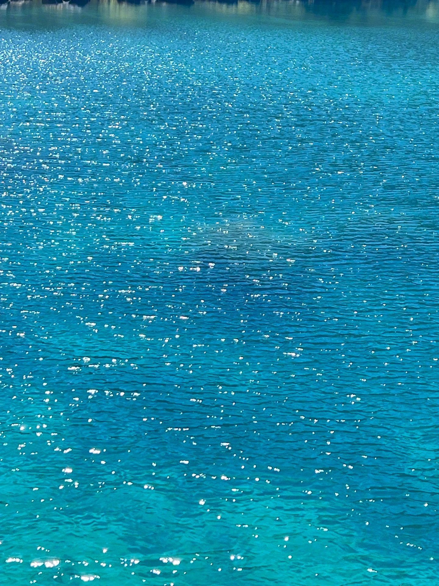 丽江·蓝月谷 蓝月谷直出的美……|丽江市|玉龙雪山|云杉坪_新浪新闻