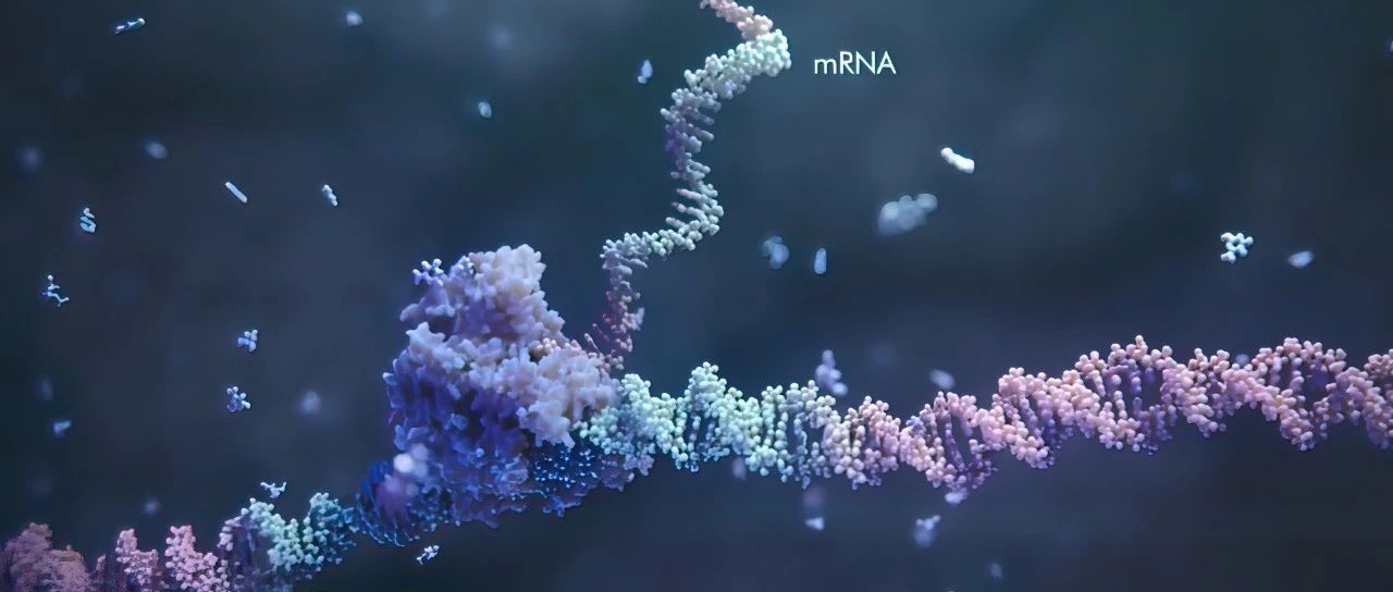 《科学》：重大突破！哈佛团队首次发现，核RNA监控具有广泛的抑癌作用，或能指导免疫治疗丨科学大发现|基因|肿瘤|RNA_新浪新闻