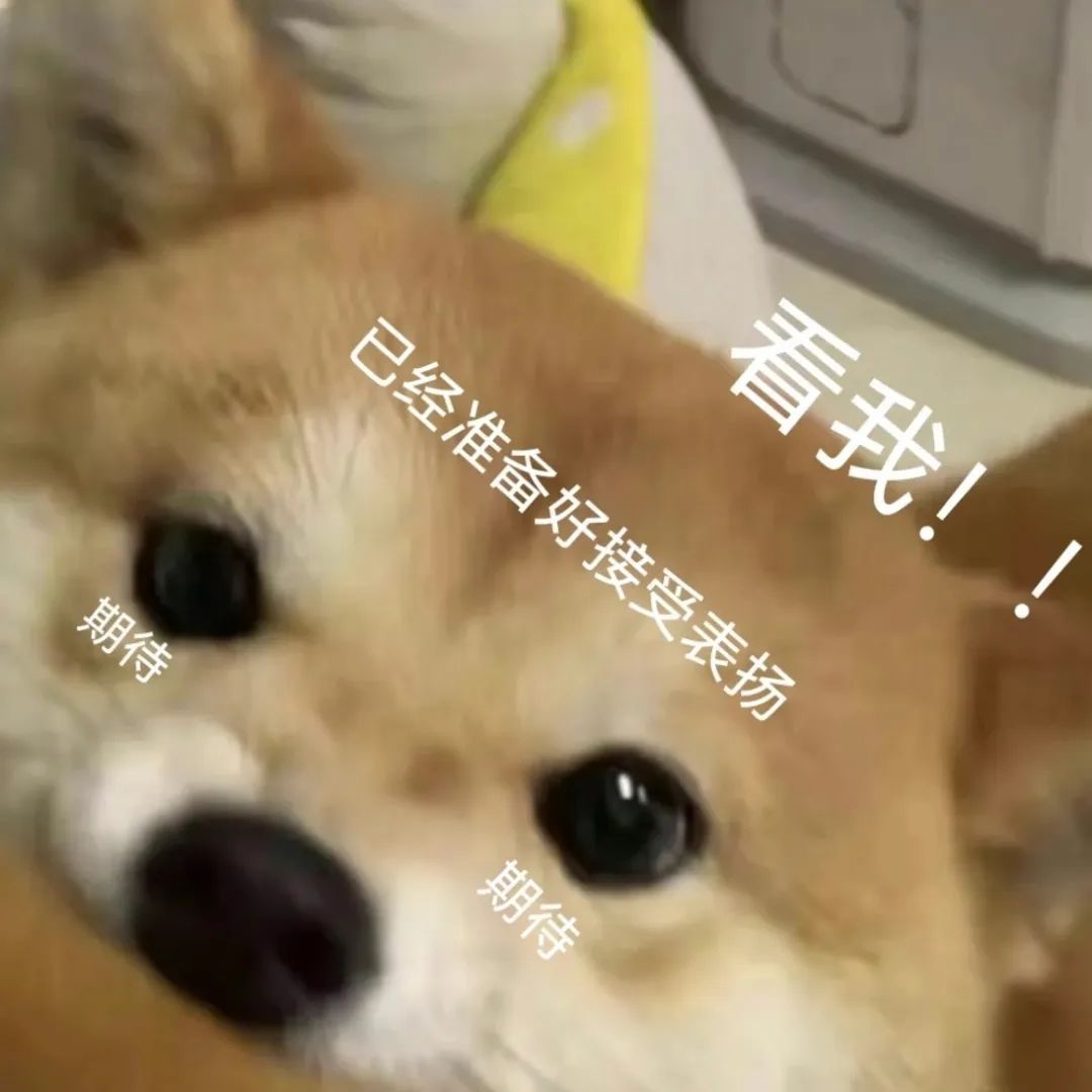 表情包来了 看我，已经准备好接受表扬 这不敢看呐，伤风败俗……|表情包|大病|可爱_新浪新闻