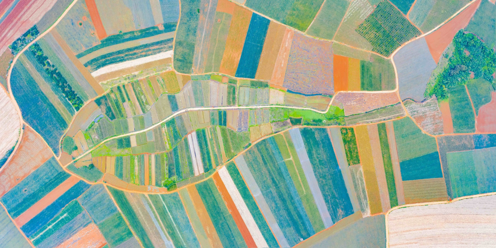 “12221”——农业品牌建设“密码”__财经头条