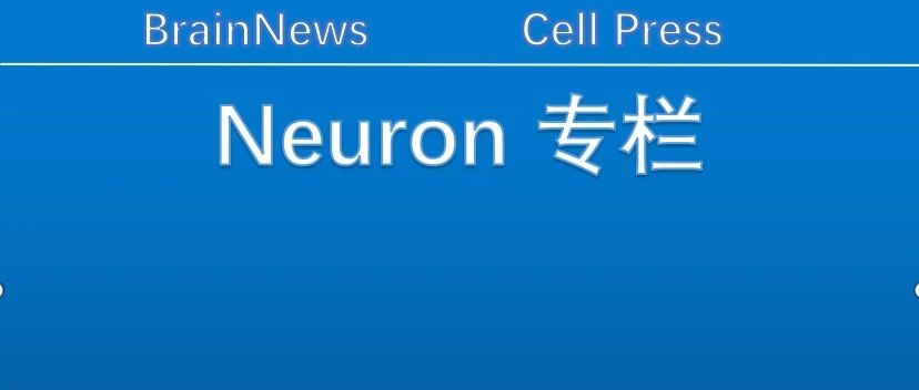 Neuron：聚焦经典脑区视交叉上核，中科院神经所严军研究组揭示调控昼夜节律新机制|哺乳动物_新浪新闻