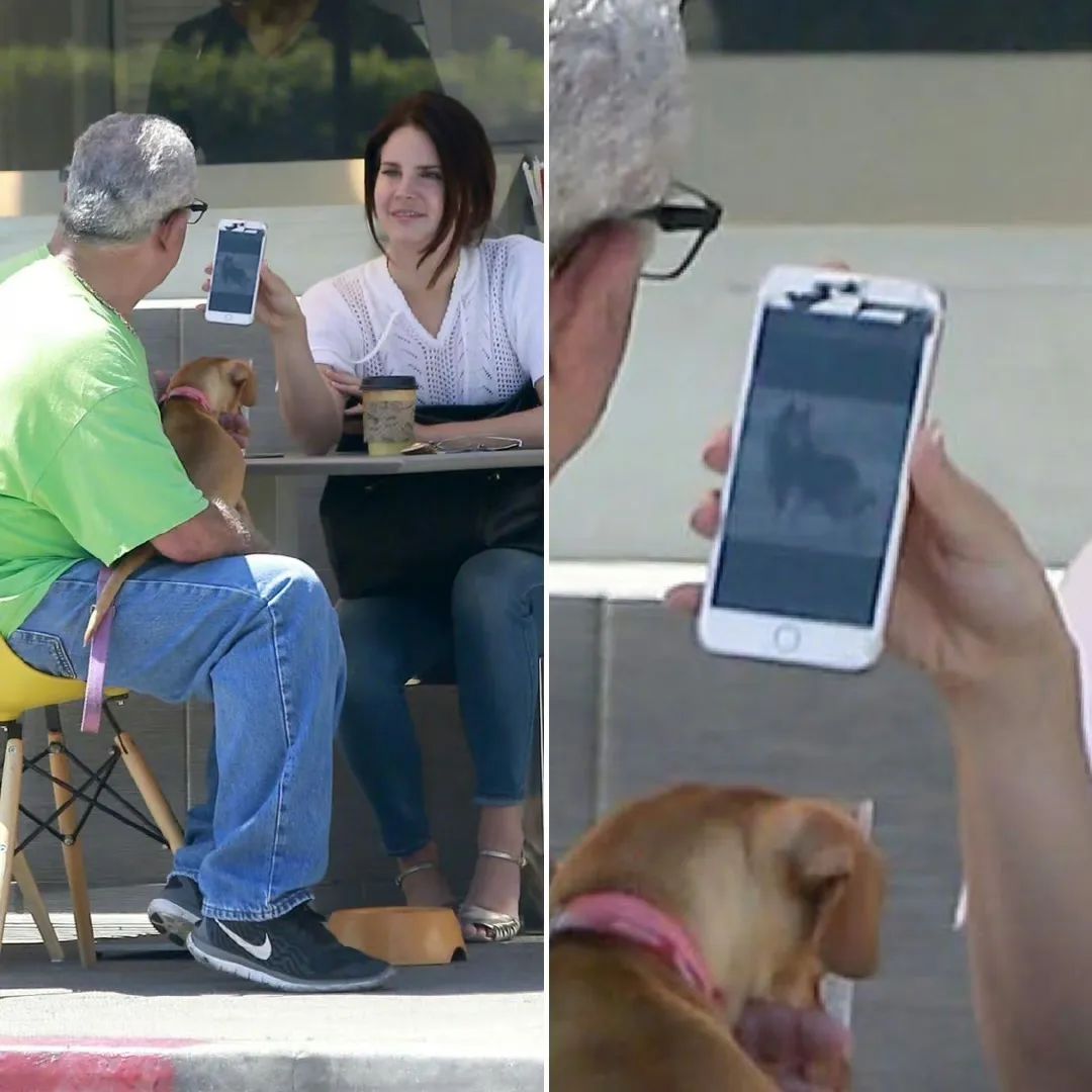 打雷姐被评“节俭女王”，手机碎屏不换，MV和封面都是手机自拍…__财经头条