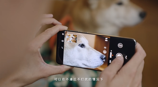 专业级宠物神器华为P60 Pro，520一起用照片说爱TA__财经头条