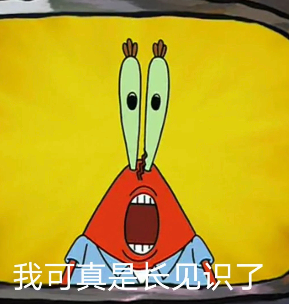 表情包来了 我可真是长见识了 哦那又怎么样呢……|表情包|见识|喝茶_新浪新闻