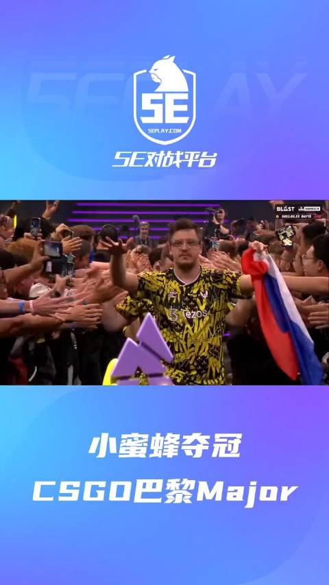 Vitality小蜜蜂夺冠巴黎Major！恭喜小蜜蜂！|巴黎_新浪新闻