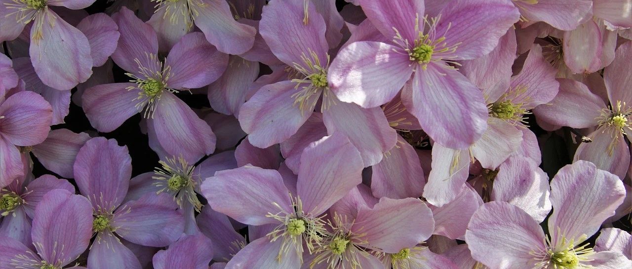 数亿女性患者福音，全球首创全新机制非激素药物获批上市！|更年期_新浪新闻