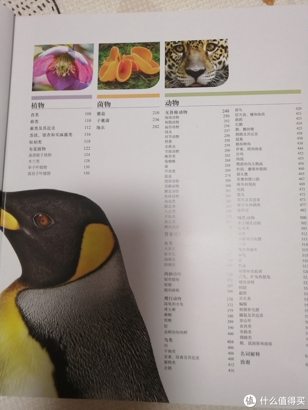 DK博物大百科，自然界的视觉盛宴！__财经头条