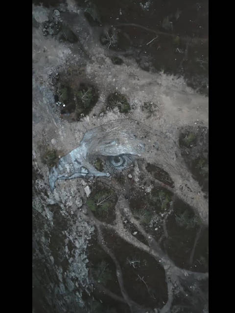 David Popa的艺术作品 来源：MARS_新浪新闻