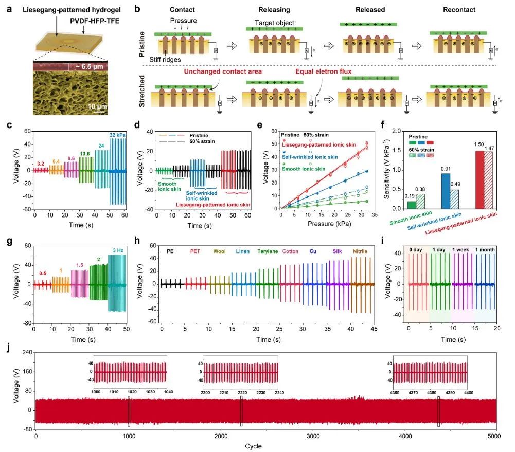 东华大学「指纹离子皮肤」能感知物体表面纹理，触觉堪比人类指尖！__财经头条