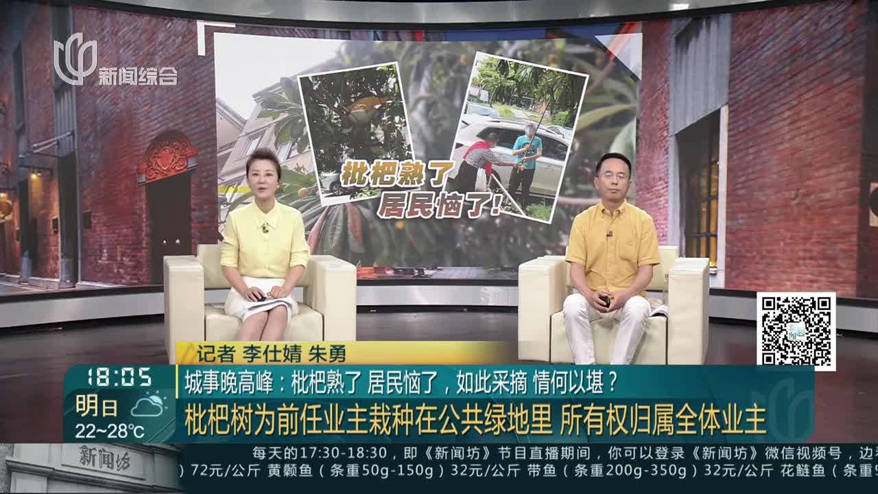 城事晚高峰:枇杷熟了 居民恼了,如此采摘 情何以堪?枇杷树为前任业主栽种在公共绿地里 所有权归属全体业主手机新浪网