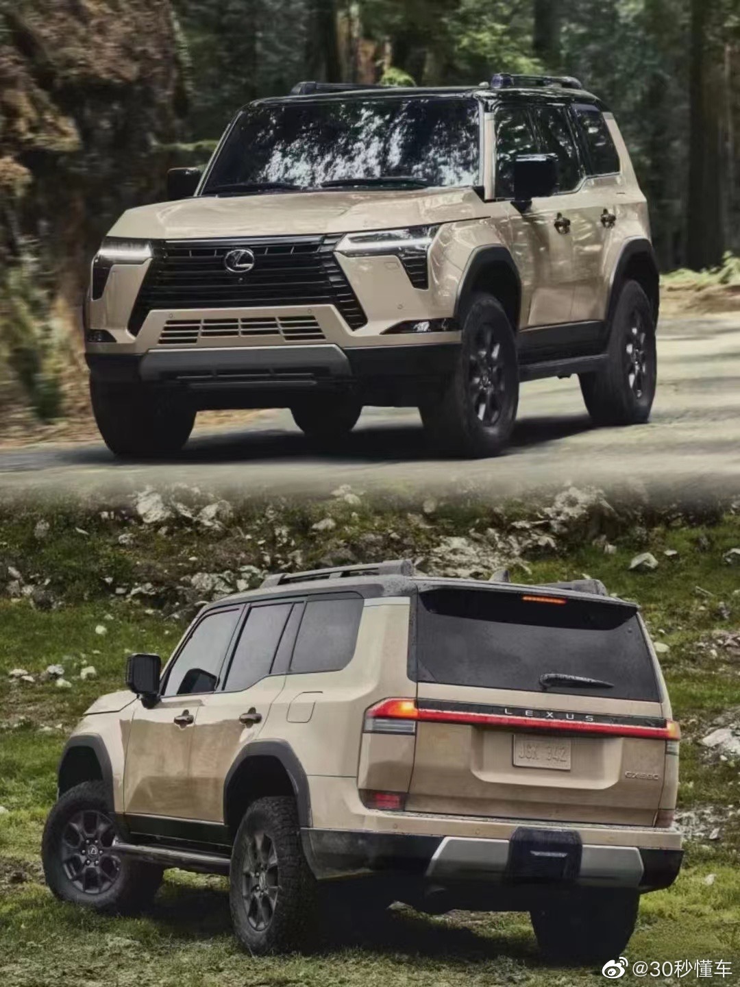 全新雷克萨斯GX全球首发 有望引入国内销售 6月9日……-新浪汽车