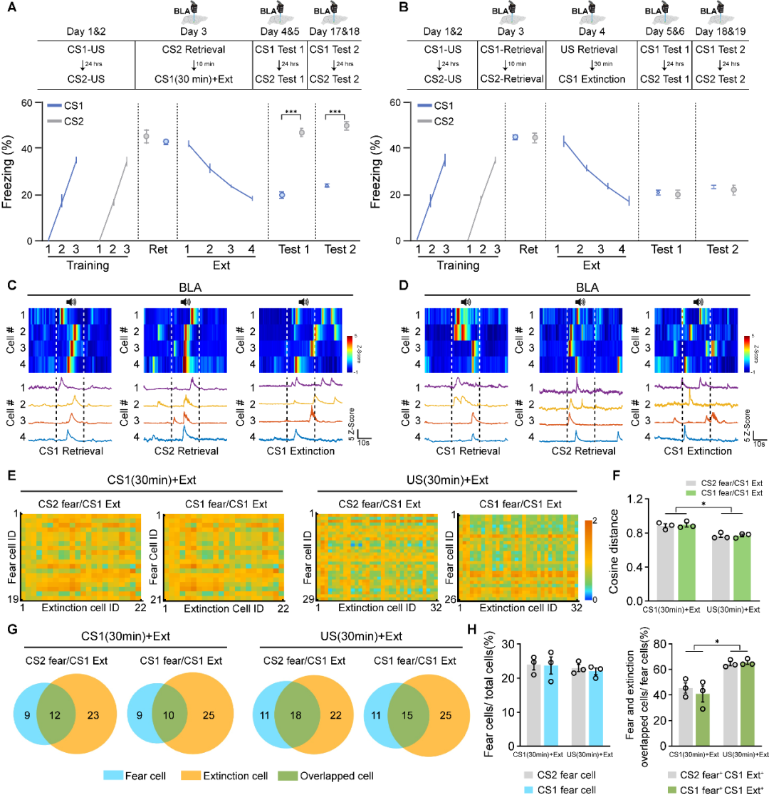 Science子刊：山东大学陈哲宇团队发现恐惧记忆擦除中记忆印迹细胞的编码新机制__财经头条