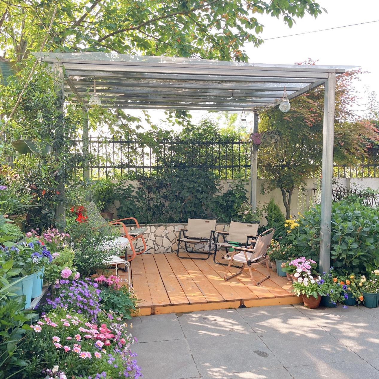 家里有小蚂蚁怎么样才能彻底去除，有效去除蚂蚁的方法有哪些？|蚂蚁|小蚂蚁|房间