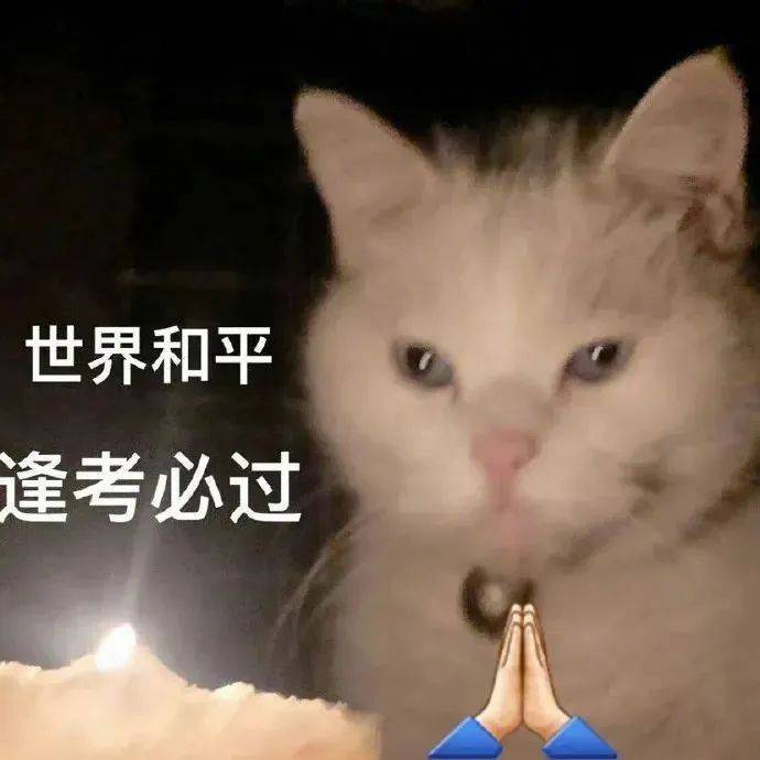 表情包 | 好痒 感觉要长脑子了 拿图点赞、吱声|表情包_新浪新闻