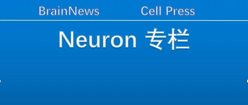 Neuron：新技术首次定量评估了直接神经发生和间接神经发生在大脑皮层结构中的贡献|大脑皮层_新浪新闻