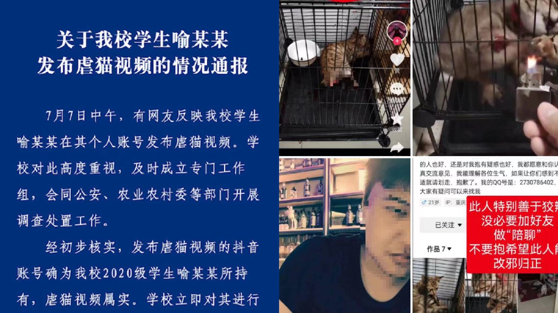 重庆城市科技学院通报 学生发布虐猫视频”:属实,将严肃处理手机新浪网