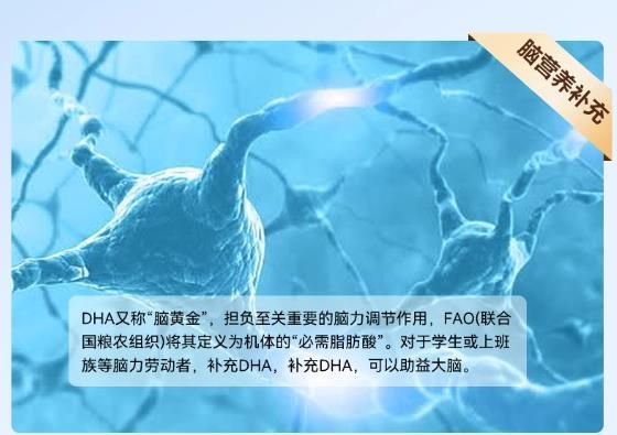GLGFAS脑黄金营养素胶囊：助力记忆 提高脑力|器官_新浪新闻