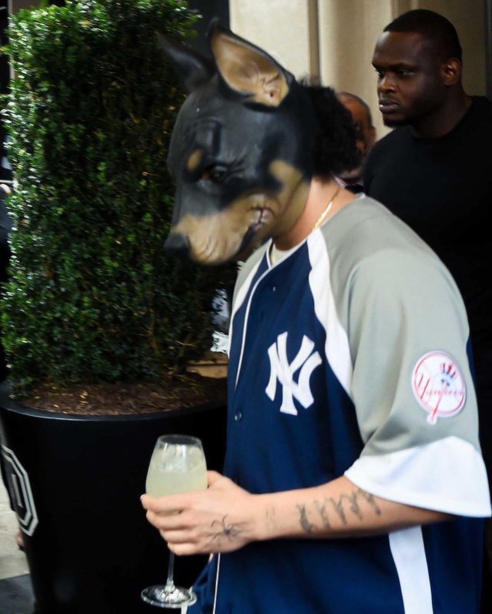 今天Drake的狗头面具 就说新专辑名字就是"for all the dogs"|狗头|面具|名字_新浪新闻