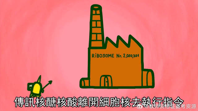 TED动画短片：捍卫健康的战争，细胞如何对抗病毒？|TED|新冠肺炎_新浪新闻