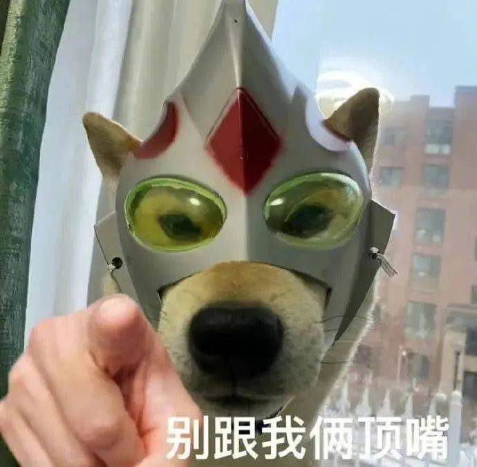 表情包 | 跟我有什么关系 拿图点赞、吱声|表情包_新浪新闻