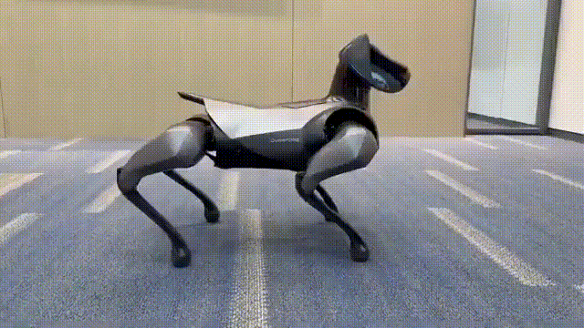 机器狗正成为新一代消费品？|小米科技|雷军|小米|机器人|科技_新浪新闻