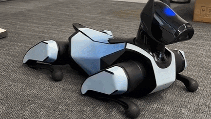 小米刚发布的铁蛋2，太狗了！还会变色！！|CyberDog|铁蛋|变色_新浪新闻