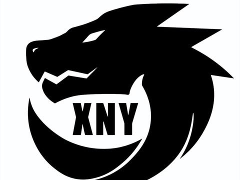 坚韧与狂野：《APEX英雄》草根战队“XNY”的成长历程|草根|APEX英雄|尖峰_新浪新闻