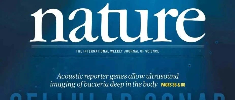 Nature也用的小白科研绘图神器，你不知道？|绘图|科研|素材_新浪新闻