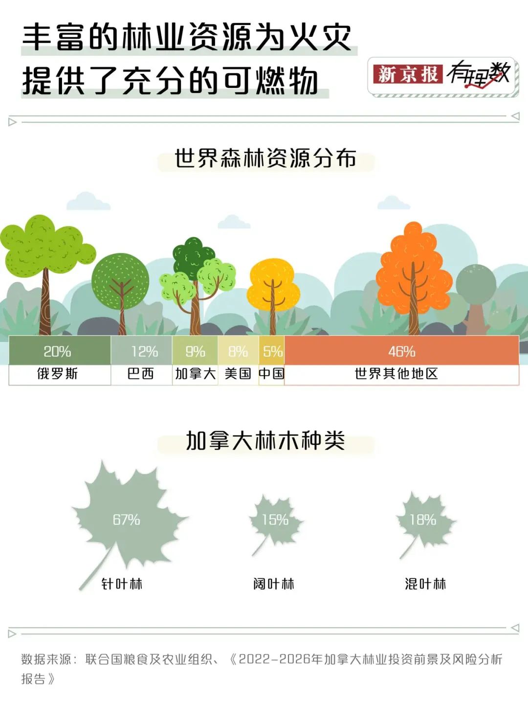 史无前例的大火，加拿大山火为何扑不灭？_新浪财经_新浪网