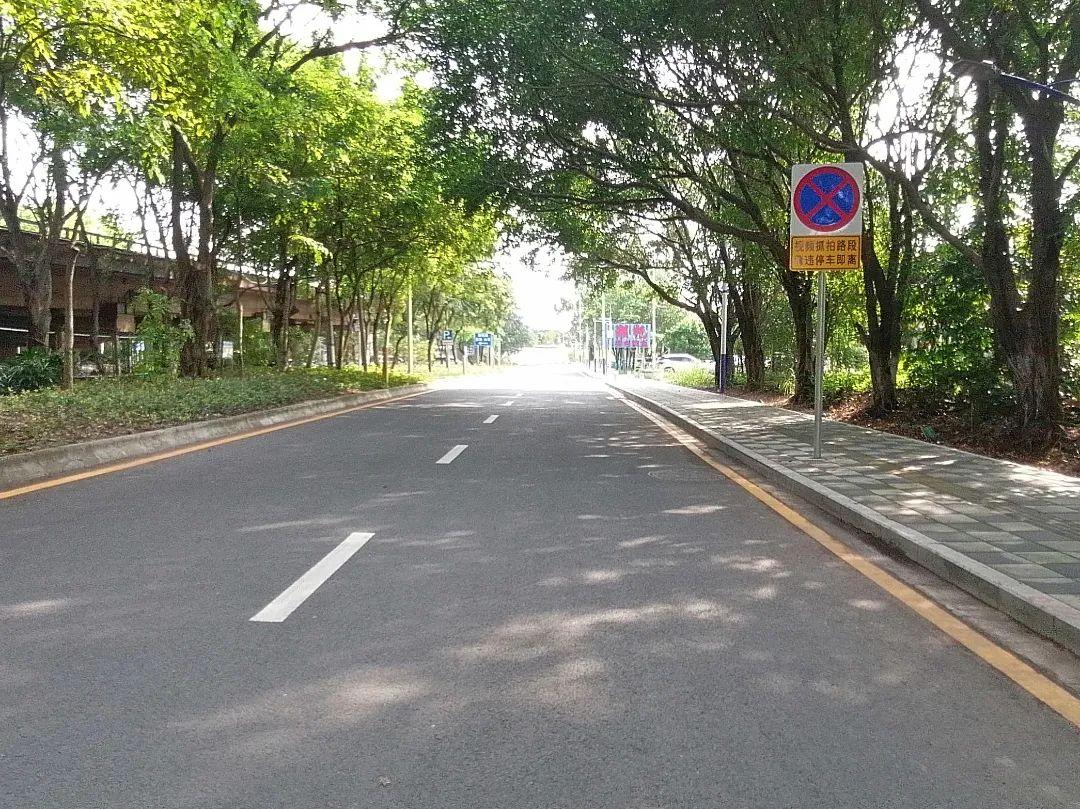 出行更安全、畅通！顺德伦教三洲建设路、振兴路升级改造工程完工|顺德|伦教|三洲_新浪新闻