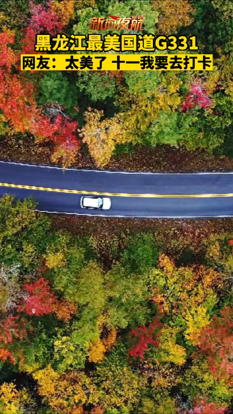 黑龙江最美国道G331，网友：太美了，十一我要去打卡！|黑龙江省_新浪新闻