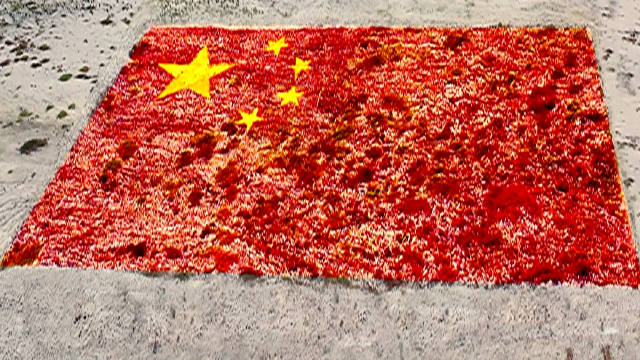 致敬！他们将荒岛变绿洲种出巨幅国旗_新浪新闻