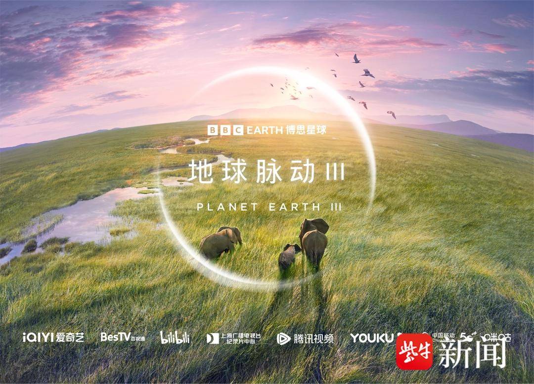 BBC现象级巨制《地球脉动III》29日上线，记录众多“史上首次”画面|雷恩|深海|人类|章鱼|摄制组_新浪新闻