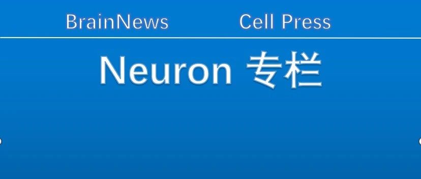 Neuron：IL-4 厉害了！在发育过程中调控小胶质细胞的修剪能力，或是ADHD的祸首之一|突触_新浪新闻