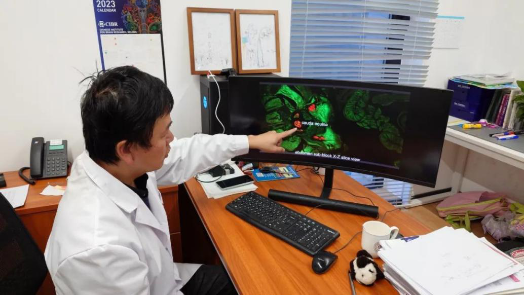 關注2023北京·昌平生命科學國際論壇丨眾多媒體集體探訪「生命穀」 - 新浪香港