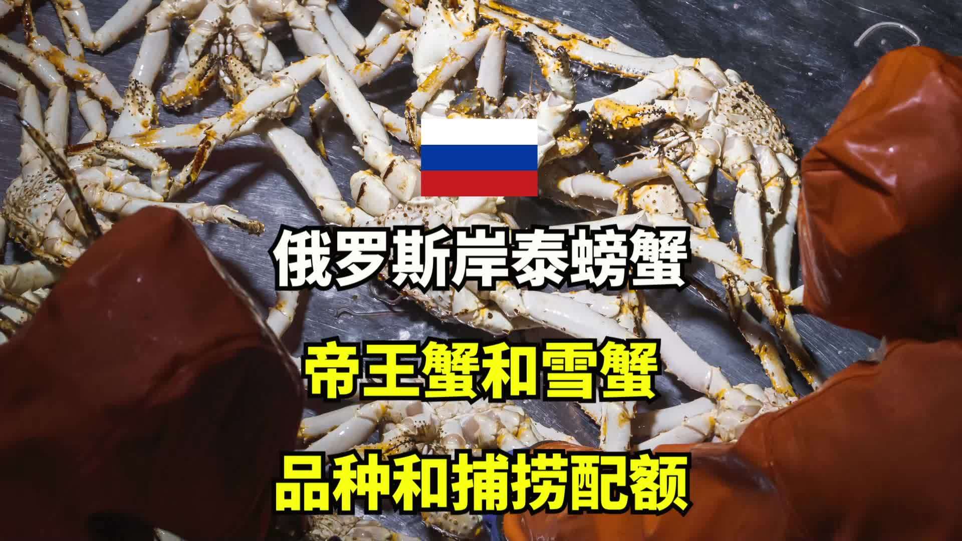 俄罗斯岸泰螃蟹：帝王蟹和雪蟹品种和捕捞配额|俄罗斯|微博_新浪新闻