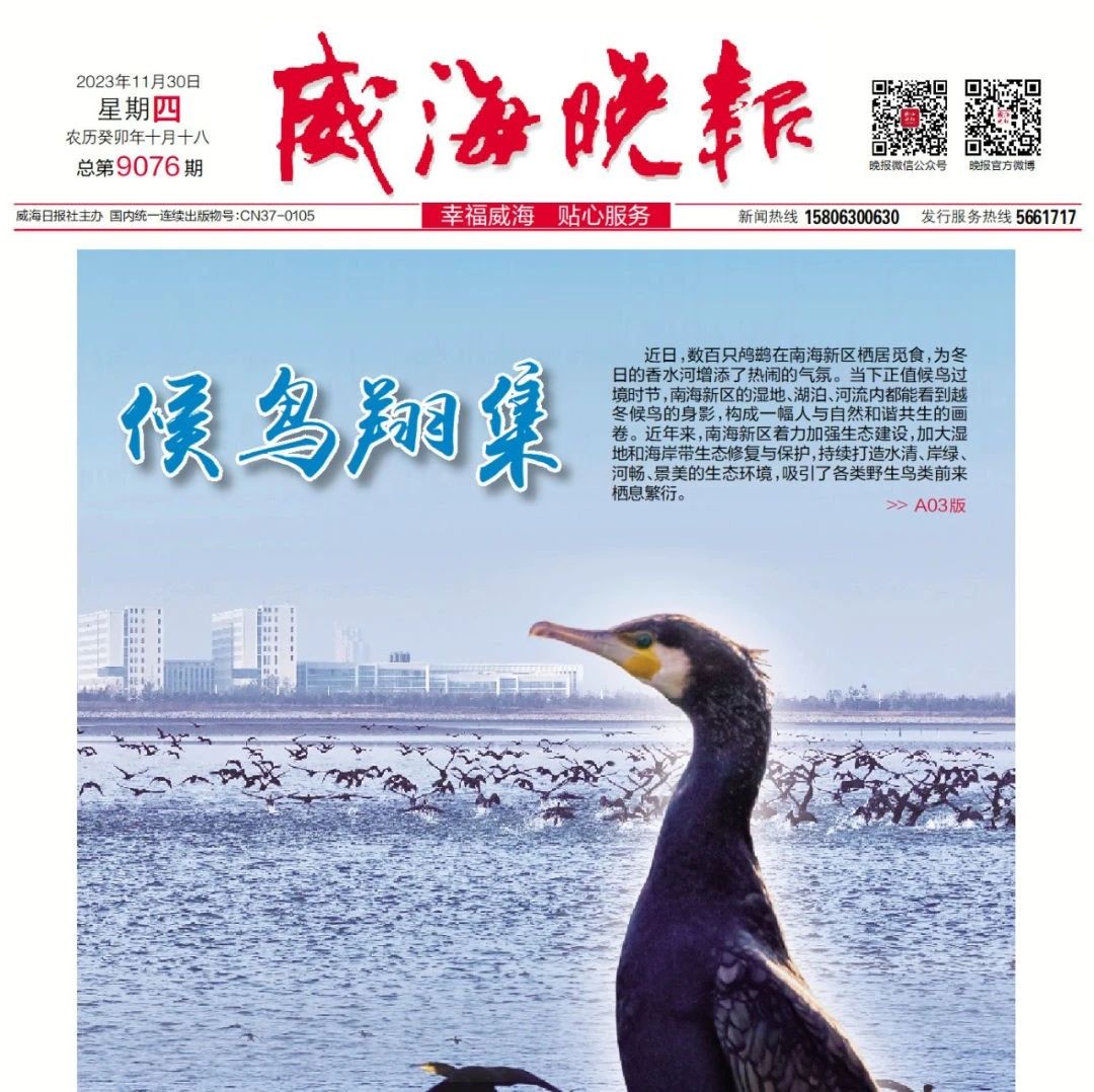 【悦读晚报】11月30日威海晚报精选版面|晚报|段晓明|威海_新浪新闻