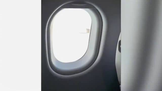 东航MU533航班空中放油后备降浦东机场|东航|航班|伦敦_新浪新闻