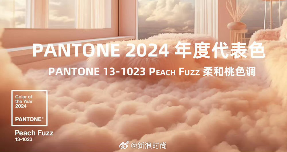 近日，Pantone 公布 2024 代表色—Pantone 13-1023 Peach Fuzz……|Pantone_新浪新闻